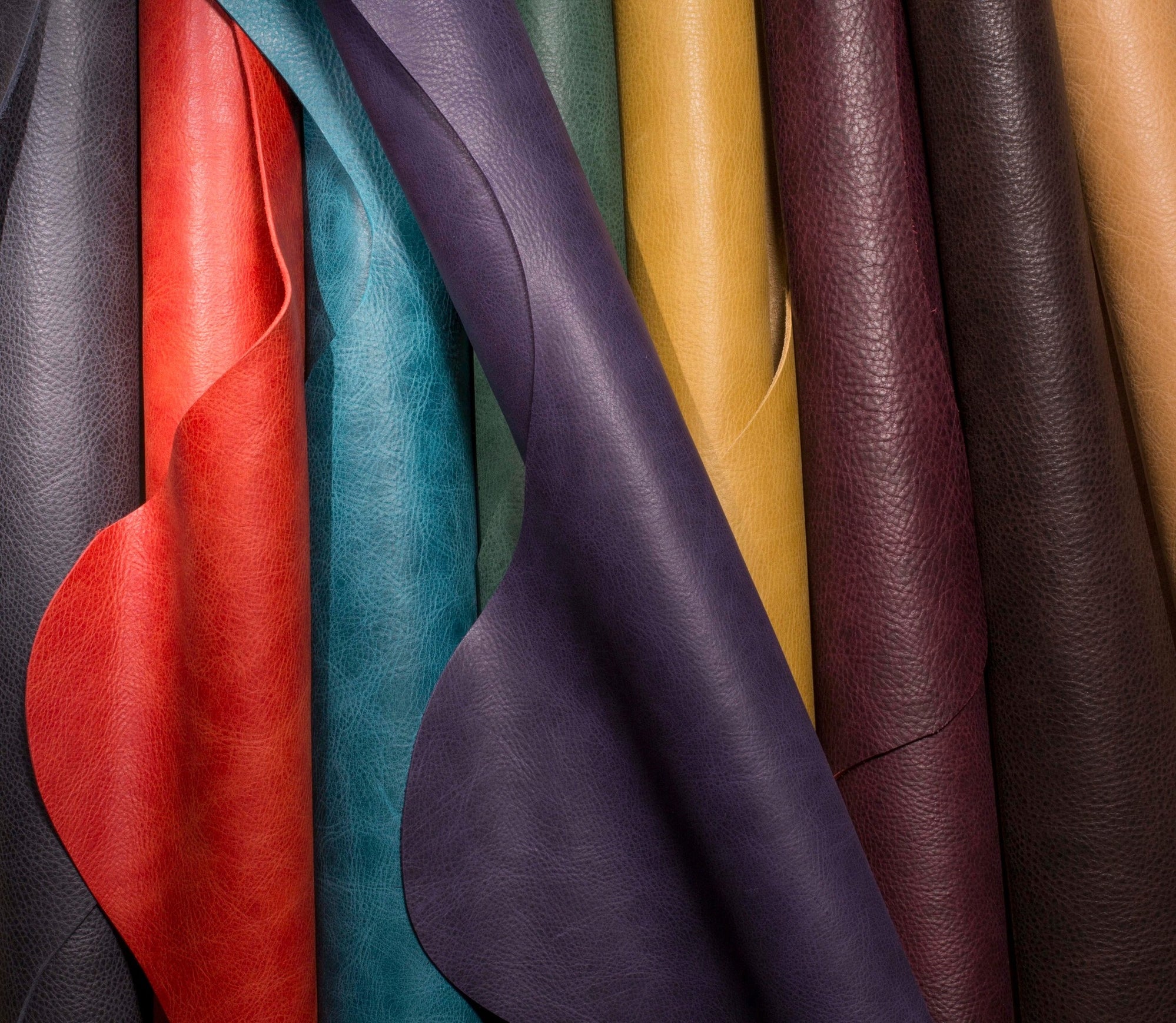 Edelman Leather – Spring Collection